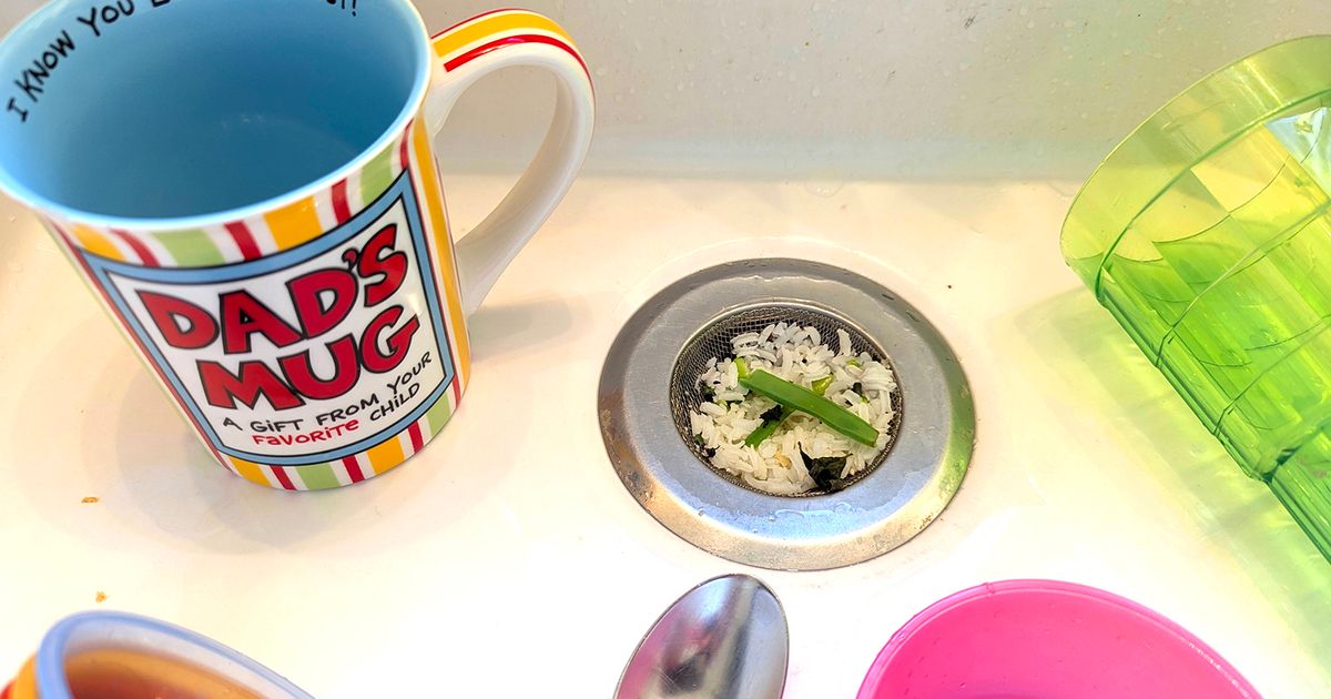 Preventing clogged drains, flies | The Seattle Times