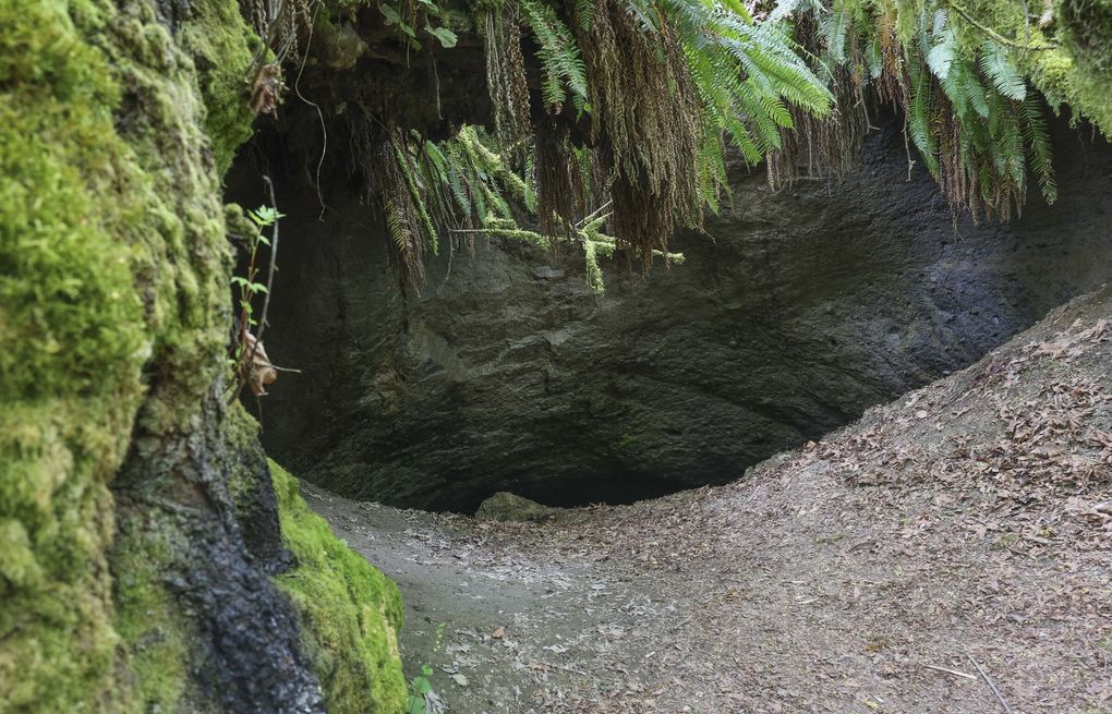 Coal Creek Trail reveals hidden history of Eastside’s mining towns ...