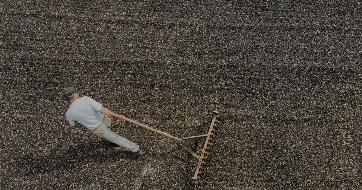 Trump administration proposes 25% tariffs on Brazil despite extensive ...