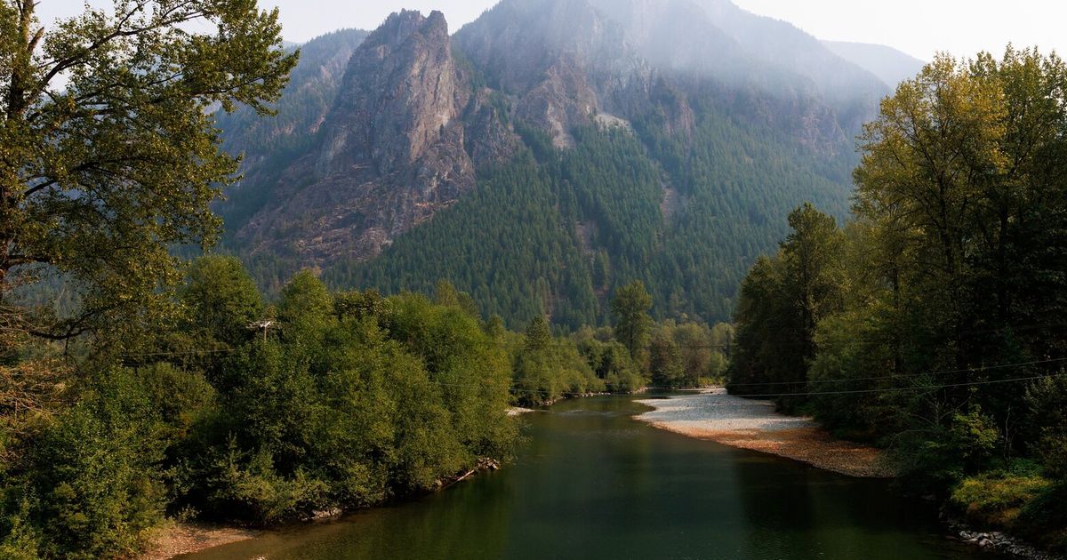 Mount Si bear attack: Search for bear ends as trail is set to reopen ...