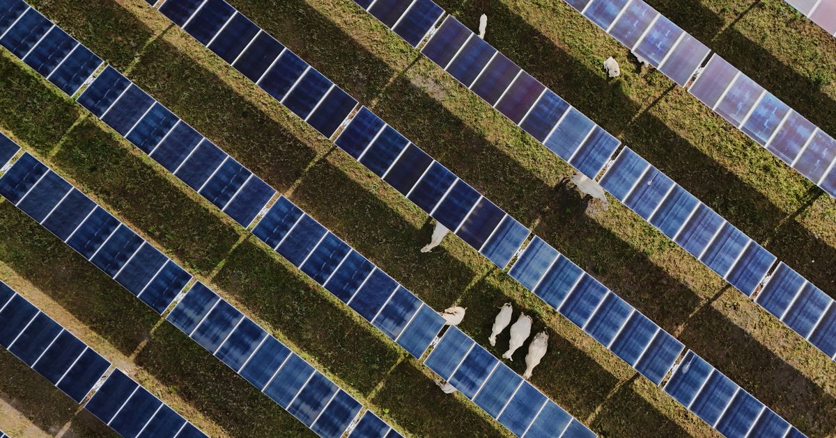 Solar power hits new milestones in the US even as Trump boosts coal ...